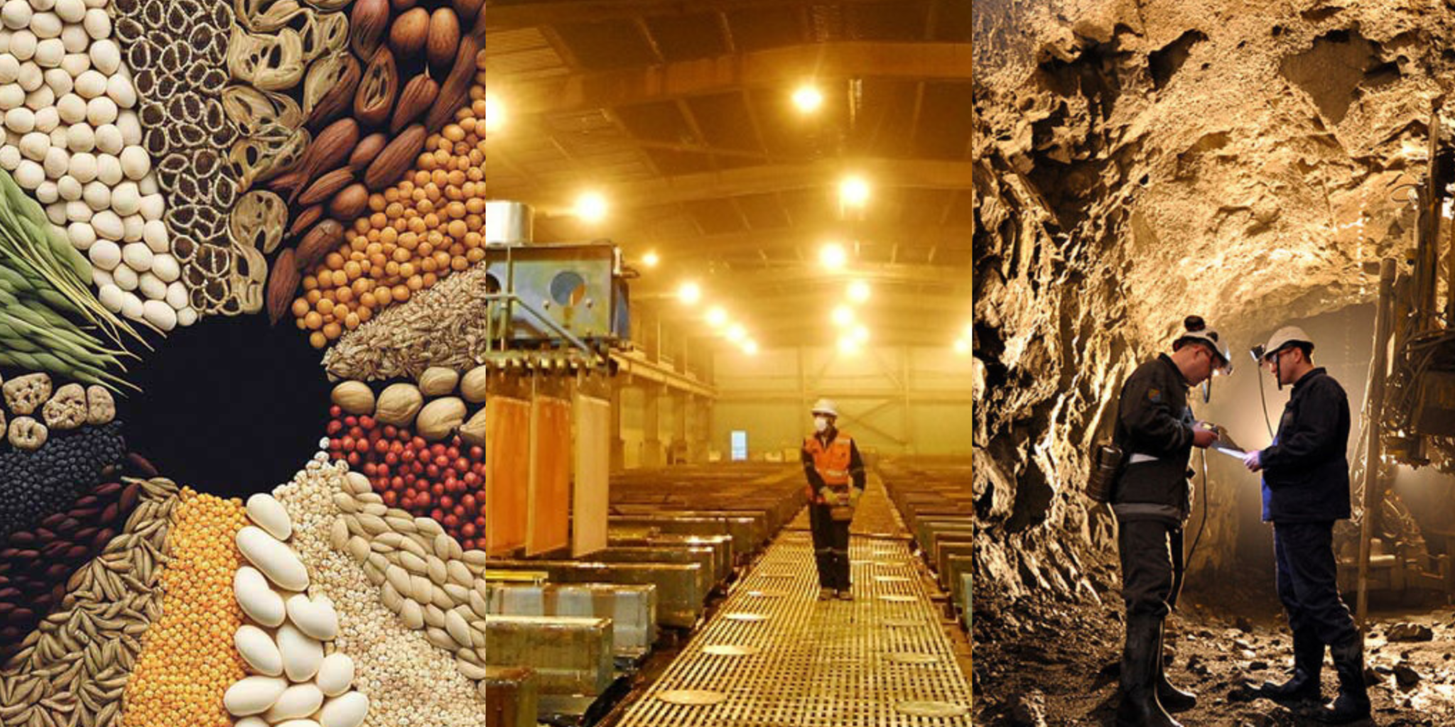 Products - Abundant Commodities Trading
